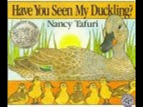 Have you seen my Duckling? - YouTube