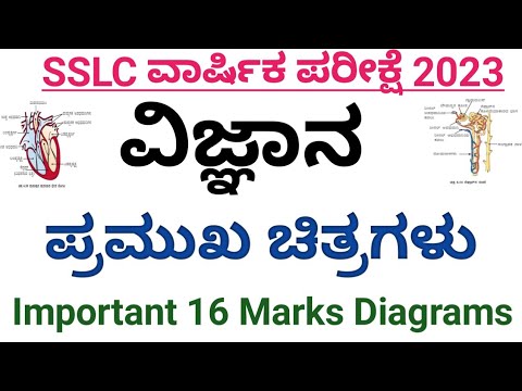 SSLC ವಿಜ್ಞಾನದ ಪ್ರಮುಖ ಚಿತ್ರಗಳು. SSLC SCIENCE IMPORTANT DIAGRAMS FOR ...