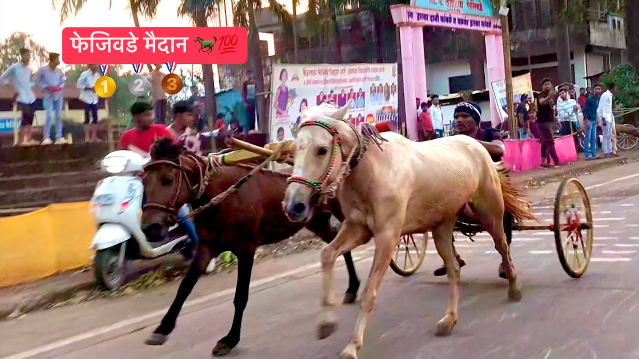 फेजिवडे मैदान || Ghoda gadi race Kolhapur 😱 ️‍🔥|| घोडा गाडी शर्यत ...