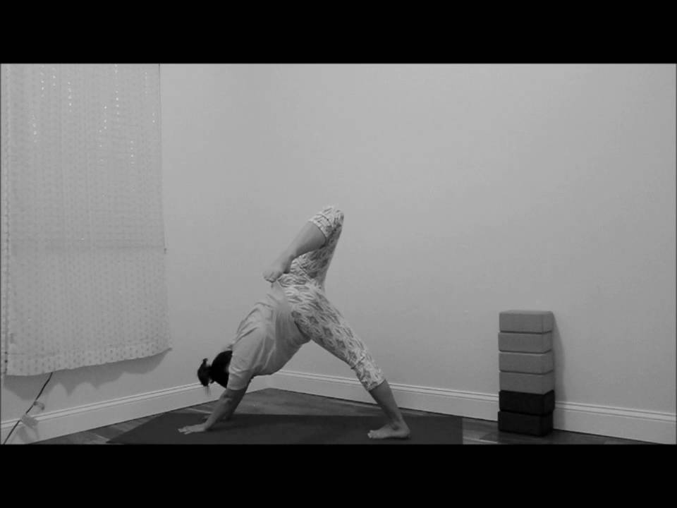 Flip Your Dog Tutorial - YouTube