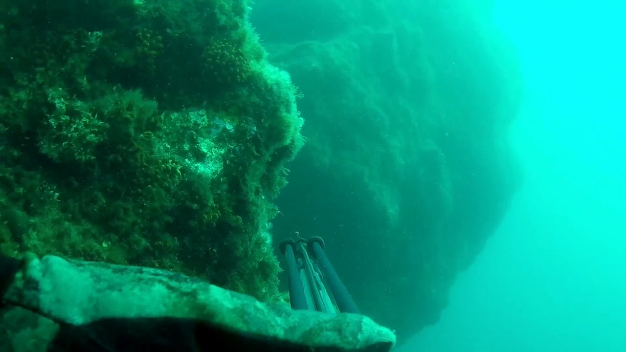 Pesca sub Catania zona Pozzillo ieri pomeriggio l'importante è ...