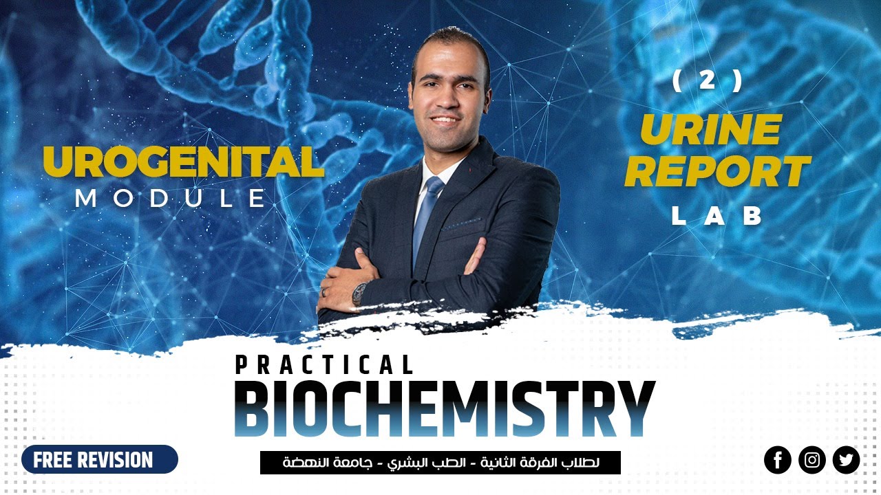 Urine Report - Lab I Practical Biochemistry I Urogenital Modue I NUB ...