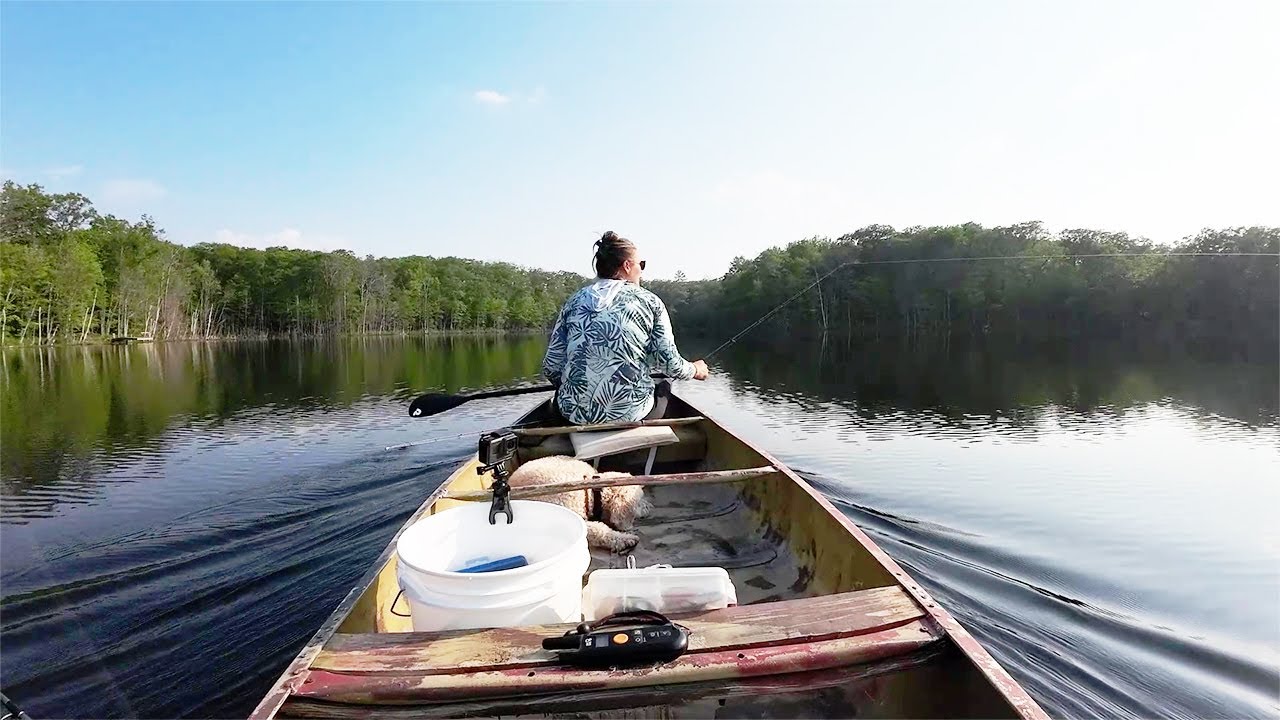 Wilderness Camping: Canoeing, Catching, and Cooking Rainbow Trout - YouTube