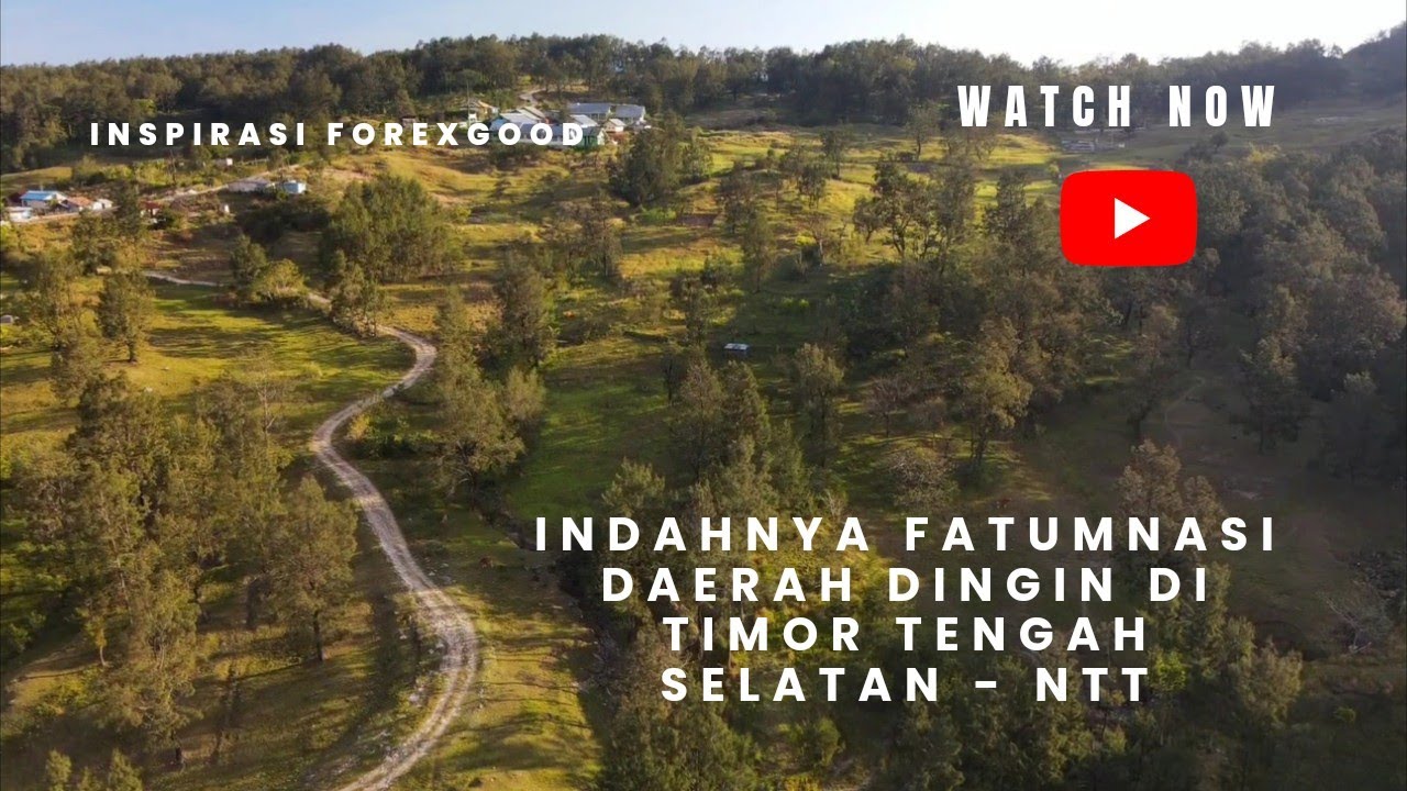 Keindahan Fatumnasi Daerah Dingin di Kabupaten Timor Tengah Selatan ...