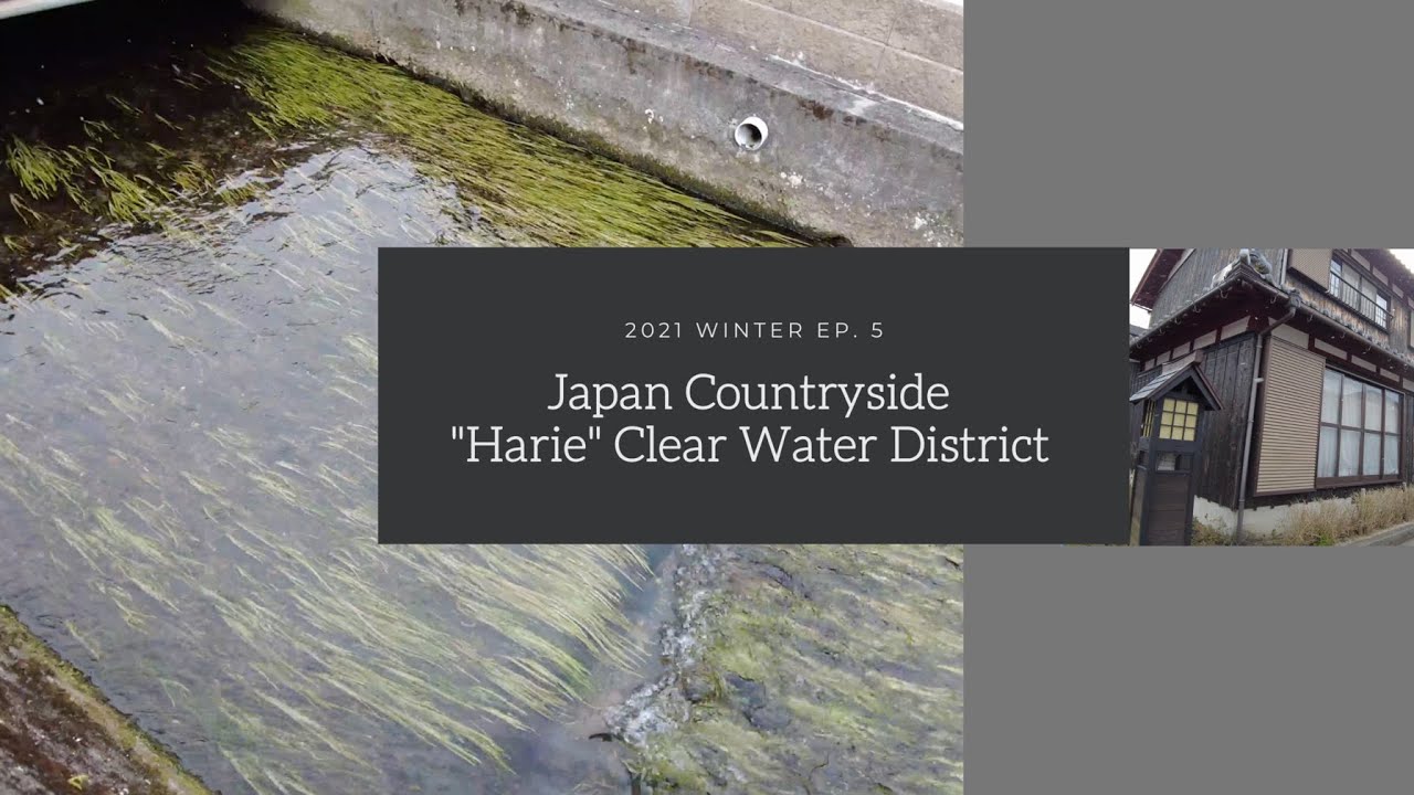 Unseen: "Harie District" Japan Countryside, Shiga Prefctr | Just 1 hour ...