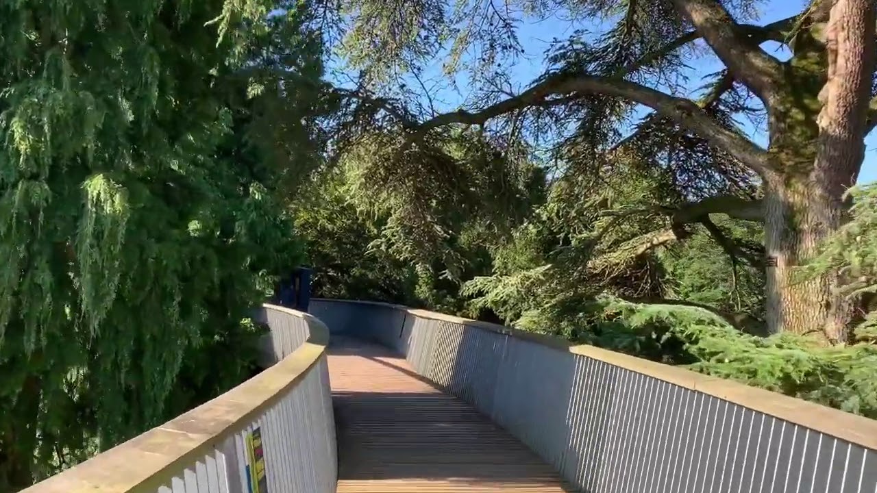 Walk with Westonbirt - STIHL Treetop Walkway in summer - YouTube