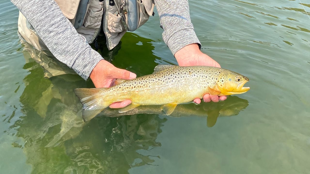 Fly Fishing the Owyhee River | 3 Generations on the River - YouTube