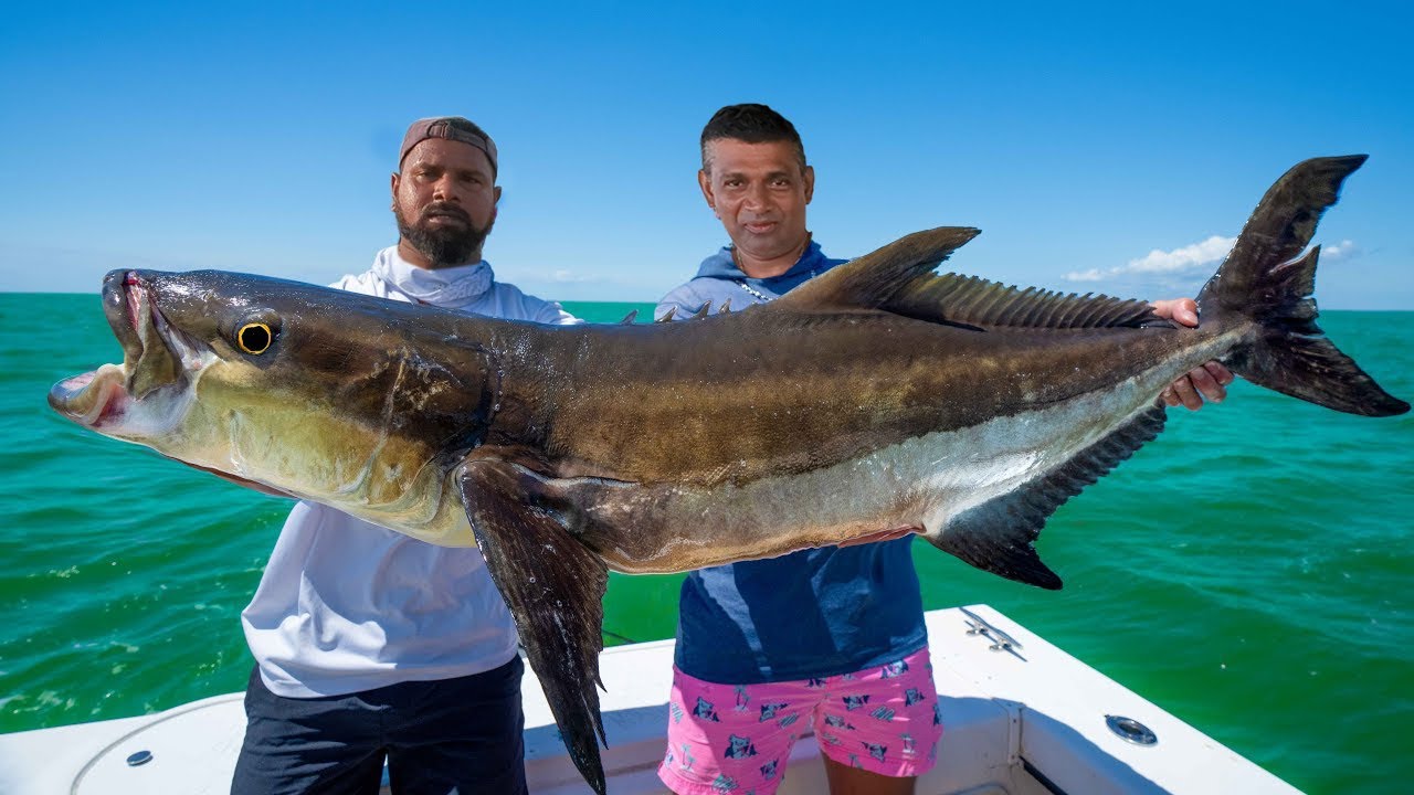 Amazing Huge Cobia Fish Cutting at a Rural Village Fish Market - YouTube