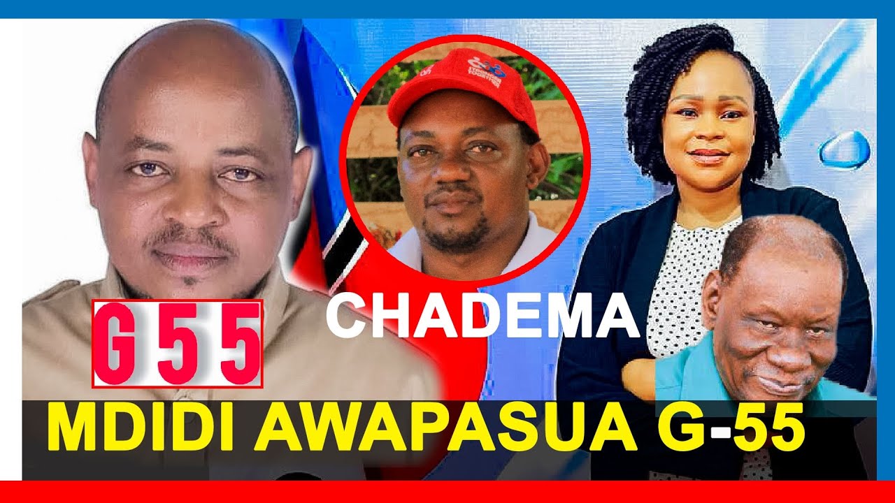 MDIDI awapasua John Mrema na Catherine Ruge wa CHADEMA "walikiuka ...