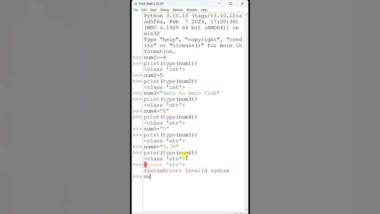 12 Example Of Datatypes String Boolean And None In Python Python Tutorial Praveen Kumar