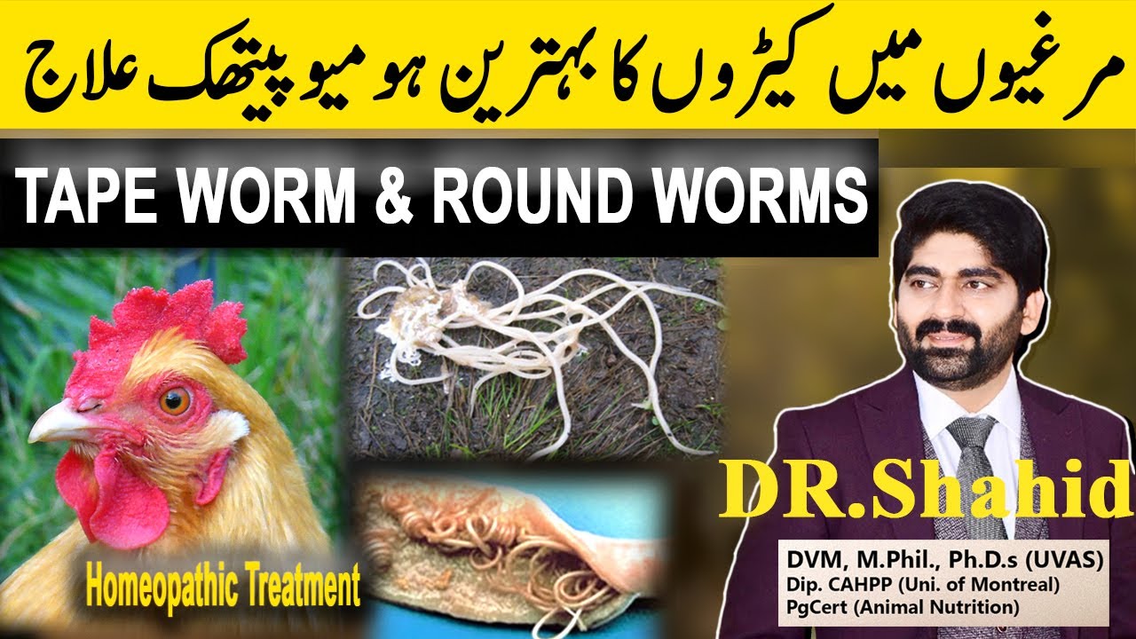 The Expert Guide to Homeopathic Treatment of Worms in Poultry # ...