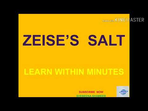 Ziese's Salt Important Points in English - YouTube