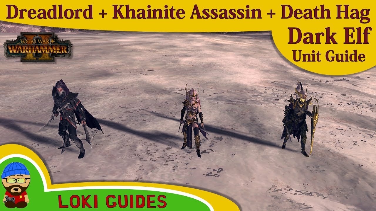 Dark Elf Unit Guide: Dreadlord & Khainite Assassin & Death Hag - Total ...