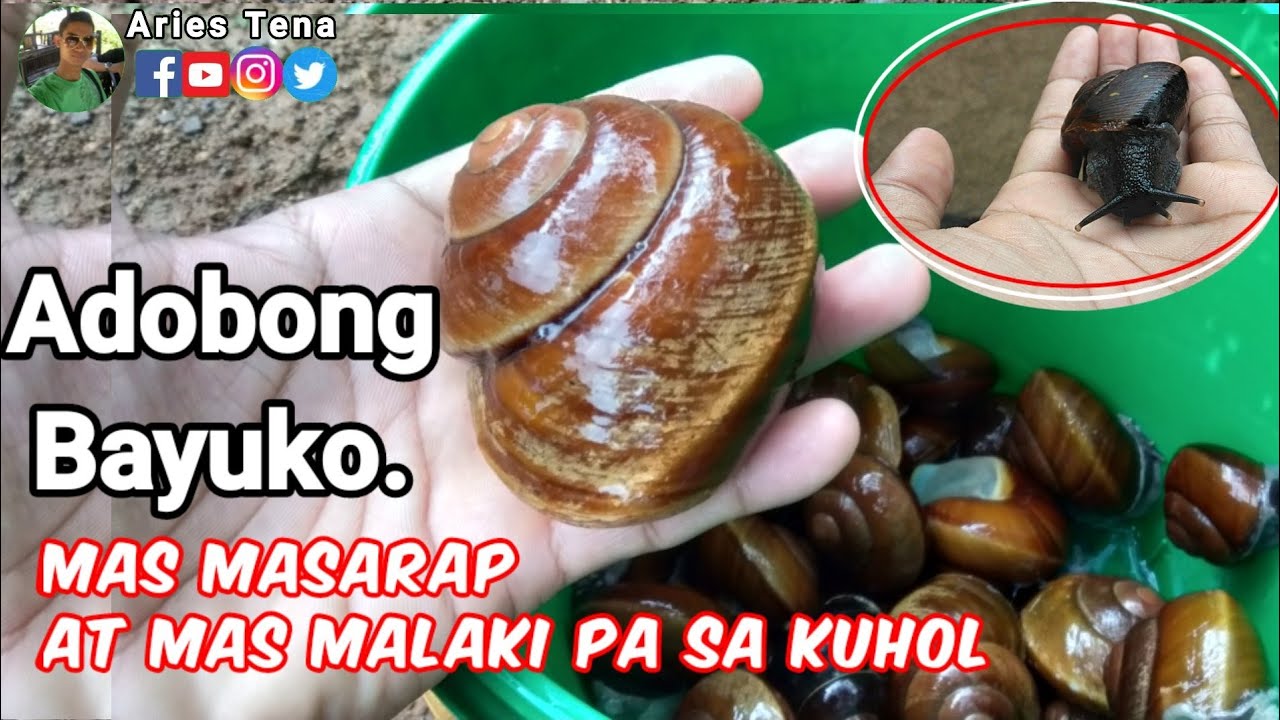 First Time ko Makakita at Makahuli ng Bayuko. #ExoticFood | Aries Tena ...