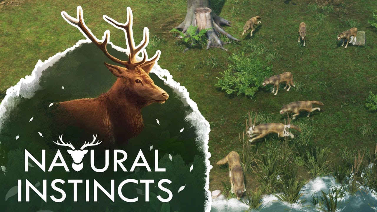 Birth of HUGE Litters of WOLF PUPS!! 🦌 Natural Instincts • #2 - YouTube