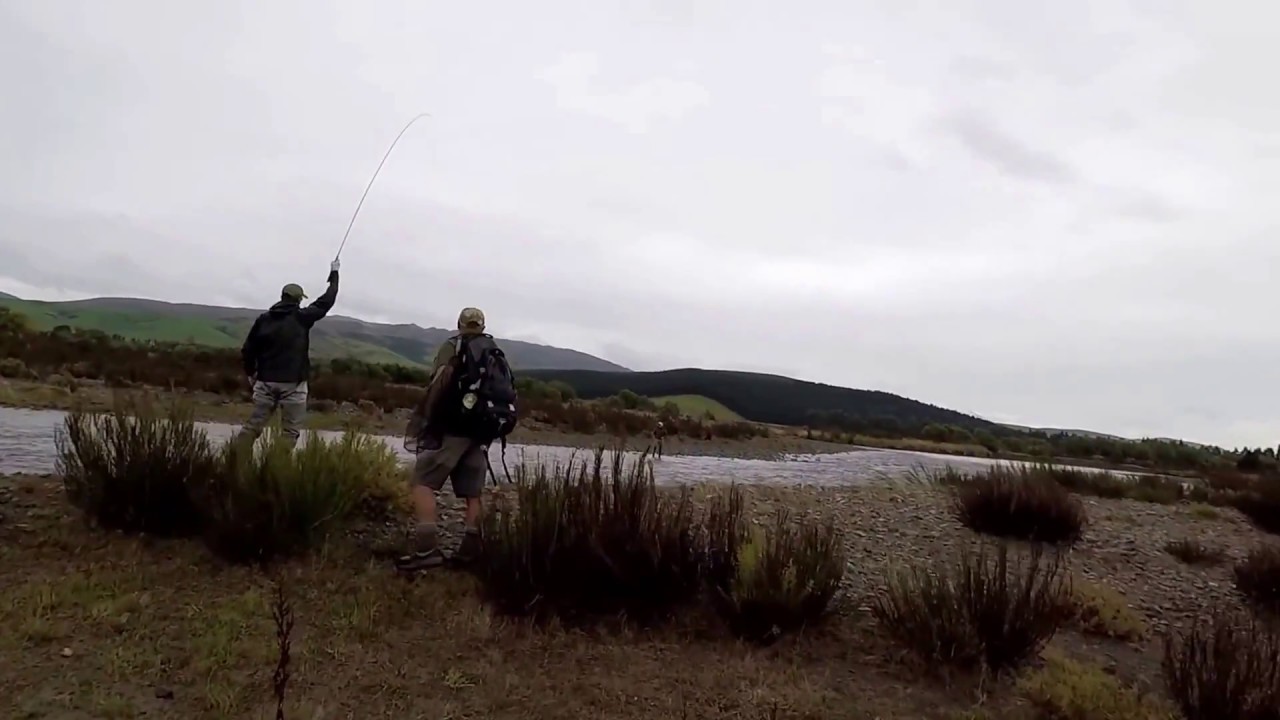 NZ fishing- BIG BROWN TROUT Strike with dry fly - GoPro - YouTube