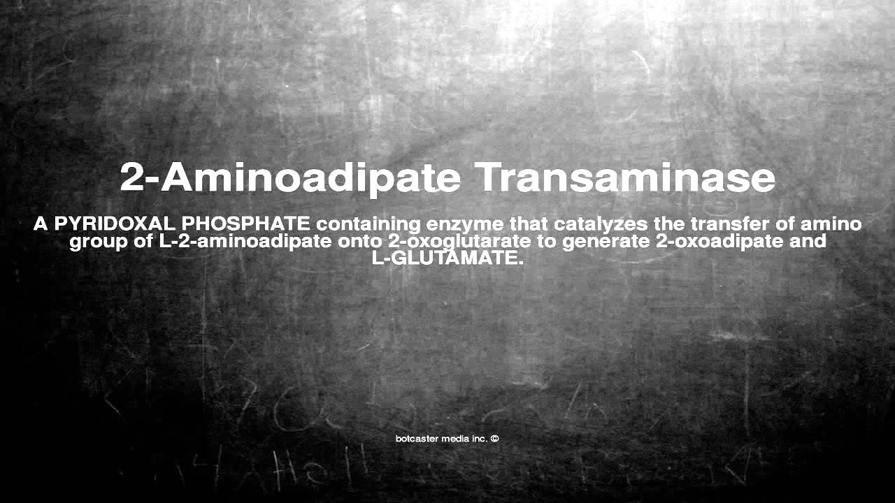 Medical vocabulary: What does 2-Aminoadipate Transaminase mean - YouTube