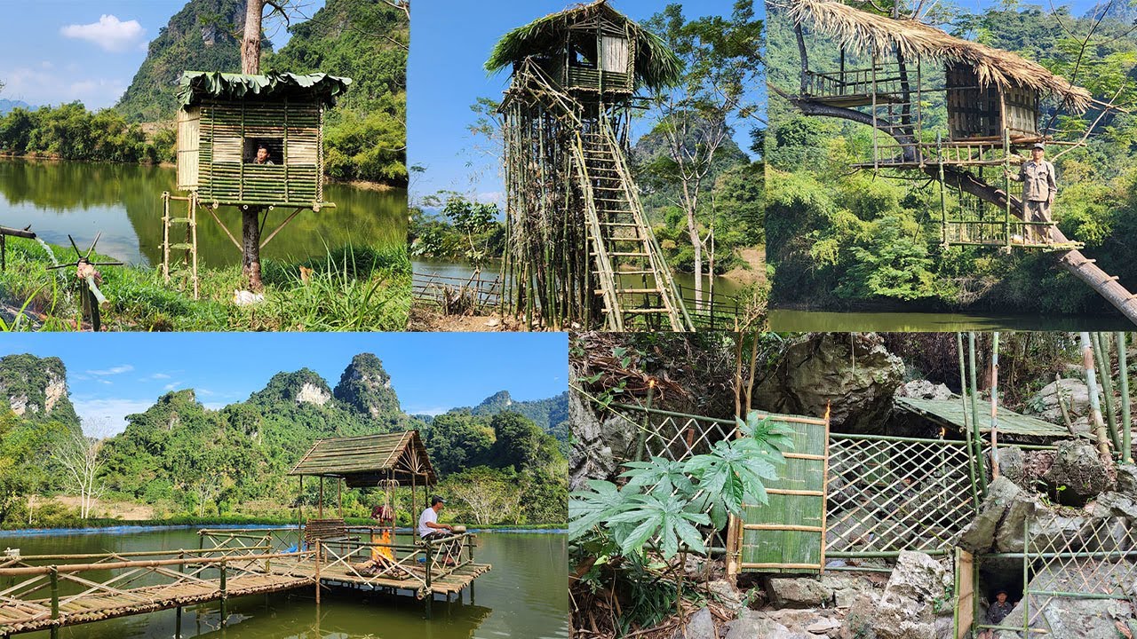100 day journey building wild homes in 2024: Tree house, bamboo house ...