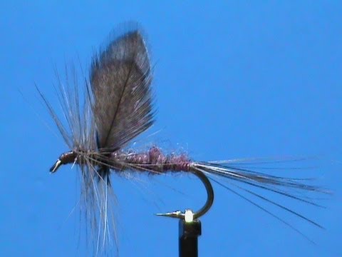 Fly Tying for Beginners an Isonychia Dun with Jim Misiura - YouTube