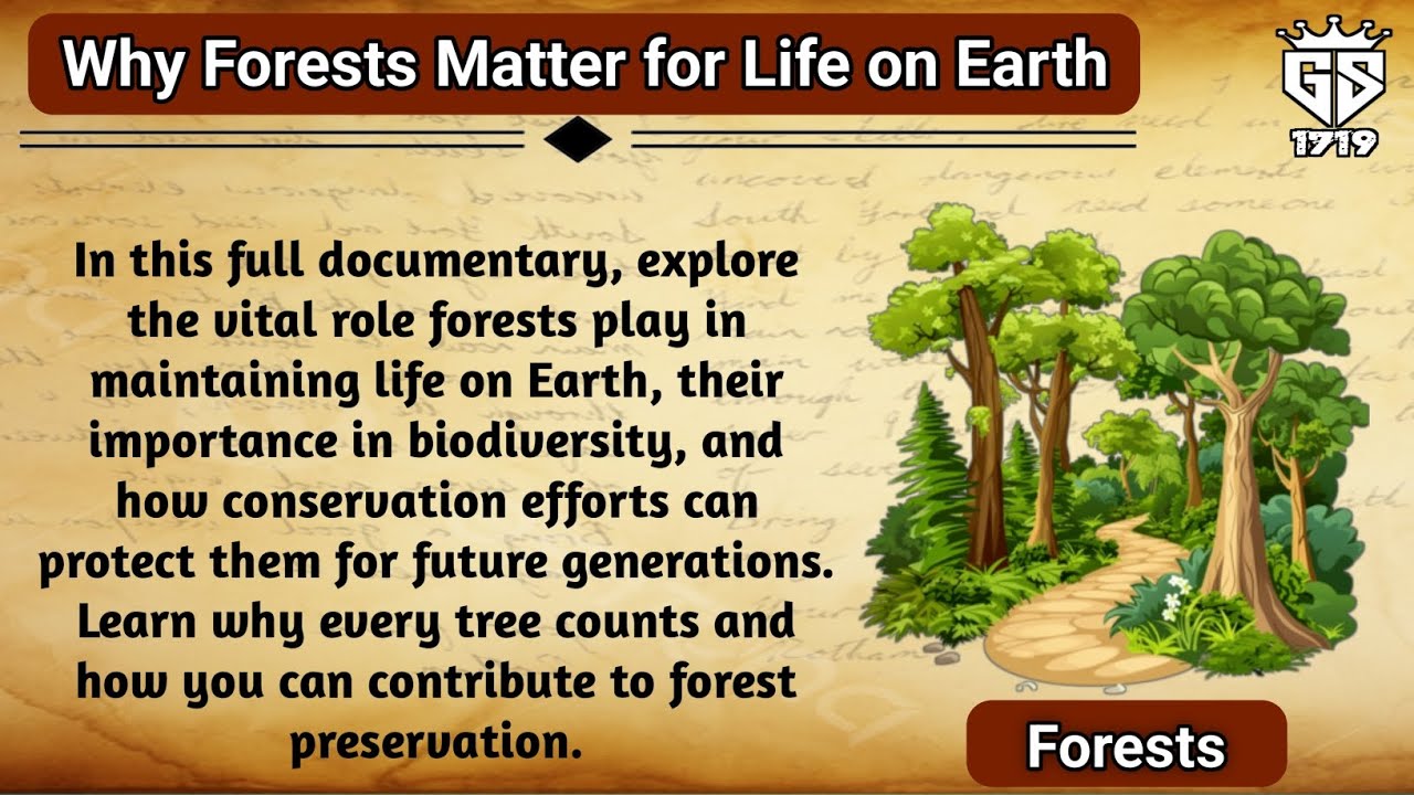 || Why Forests Matter for Life on Earth | Forests | Full Documentary on ...