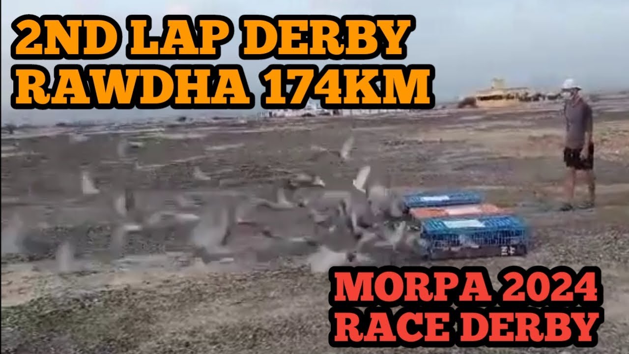 ABANGAN 2ND LAP DERBY RAWDAH 174km muscat oman - YouTube