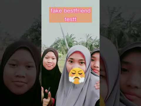 Fake Bestfriend Test Tiktok