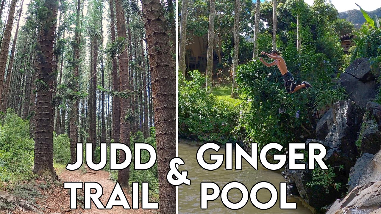 Judd Trail and Jackass Ginger Pool | Best Hikes on Oahu | HAWAII Hiking ...
