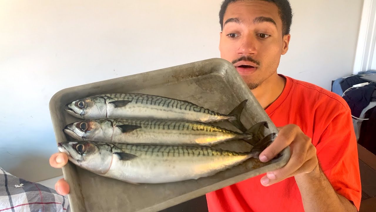 Atlantic Mackerel
