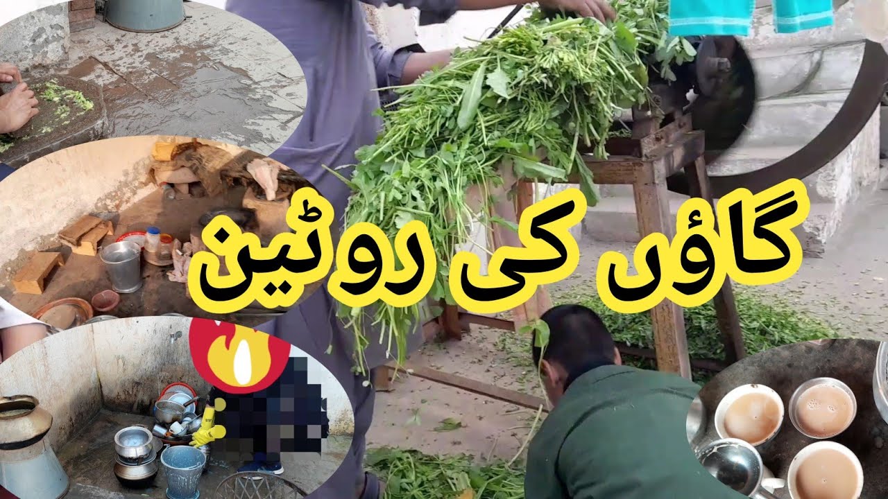 Full day productive Routine in Village||Homemaker daily routine//Ranger ...