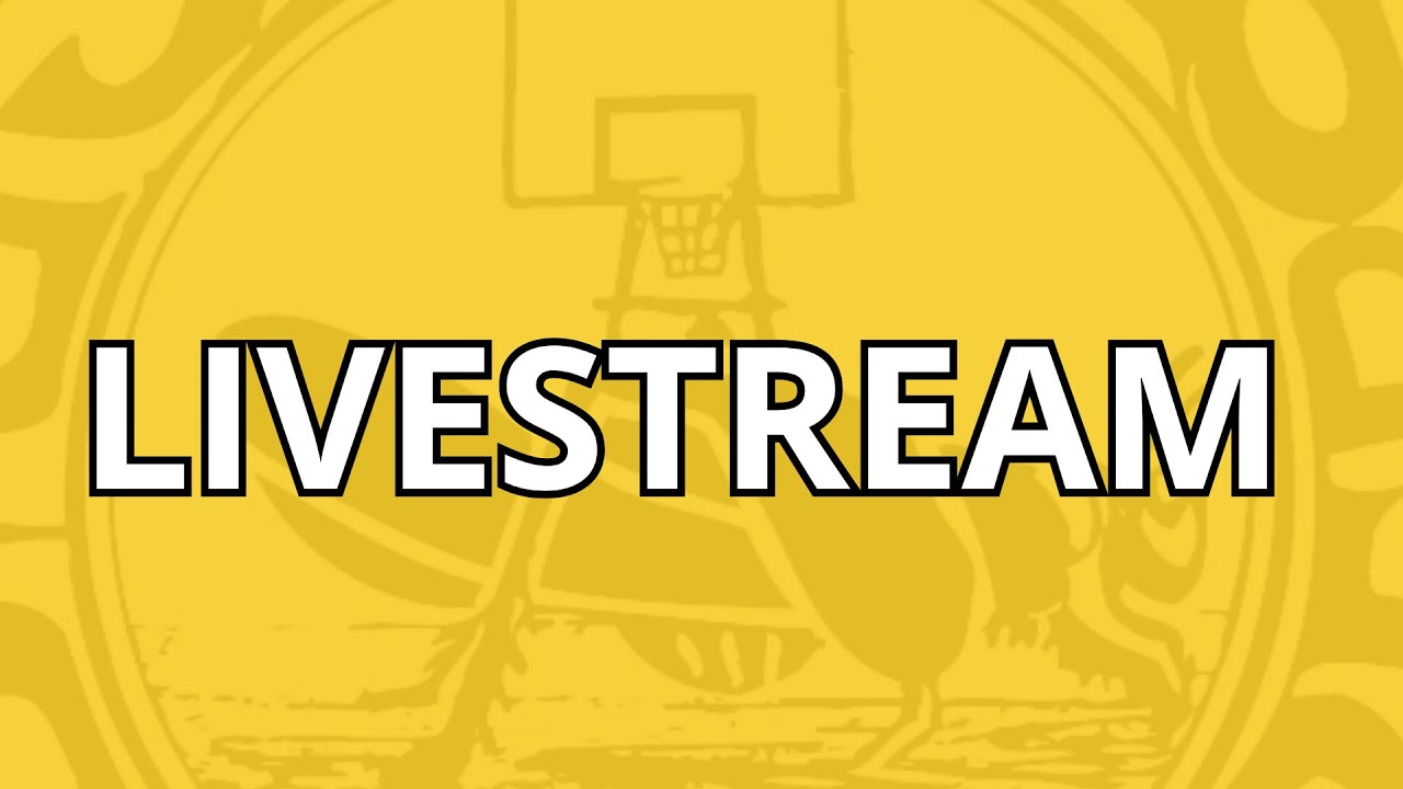GBI van Dijk Grasshoppers Livestream - YouTube