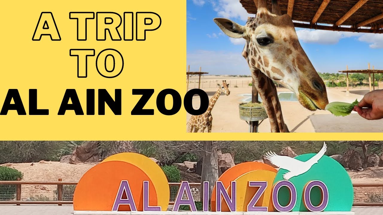 Al Ain Zoo-Largest Zoo in UAE - YouTube