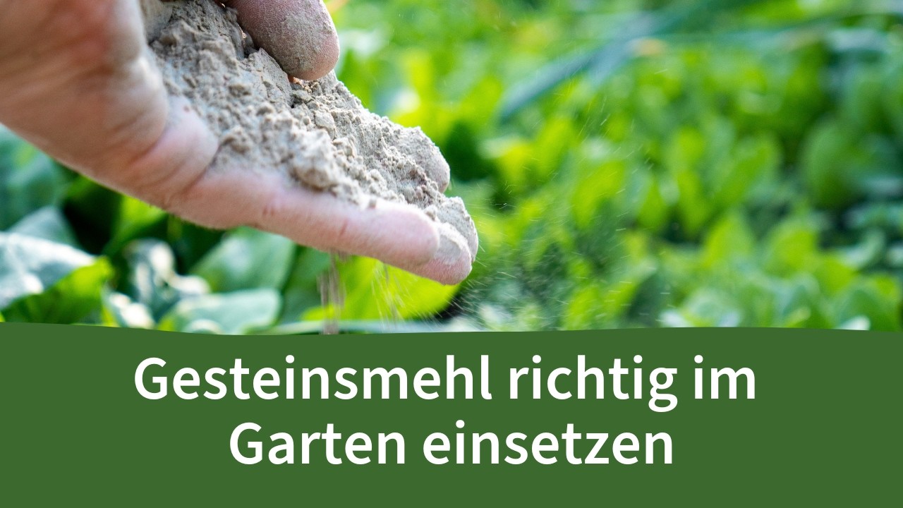 Urgesteinsmehl Selber Machen