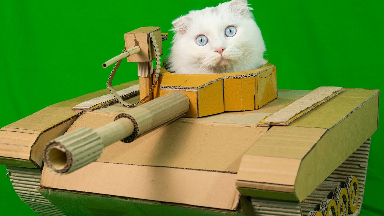 DIY - Amazing Cardboard Tank Kitten Cat House - Meow Pi - YouTube
