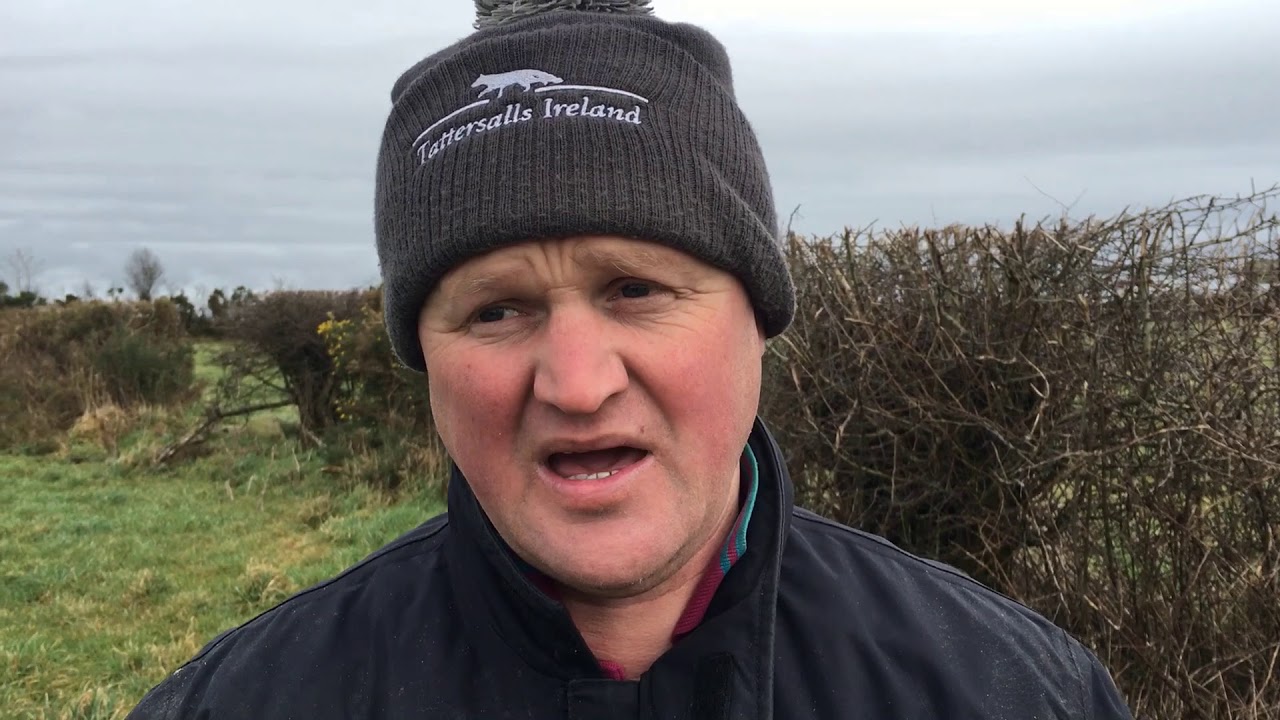 Racing's Inside Track tv met Colin Bowe - YouTube