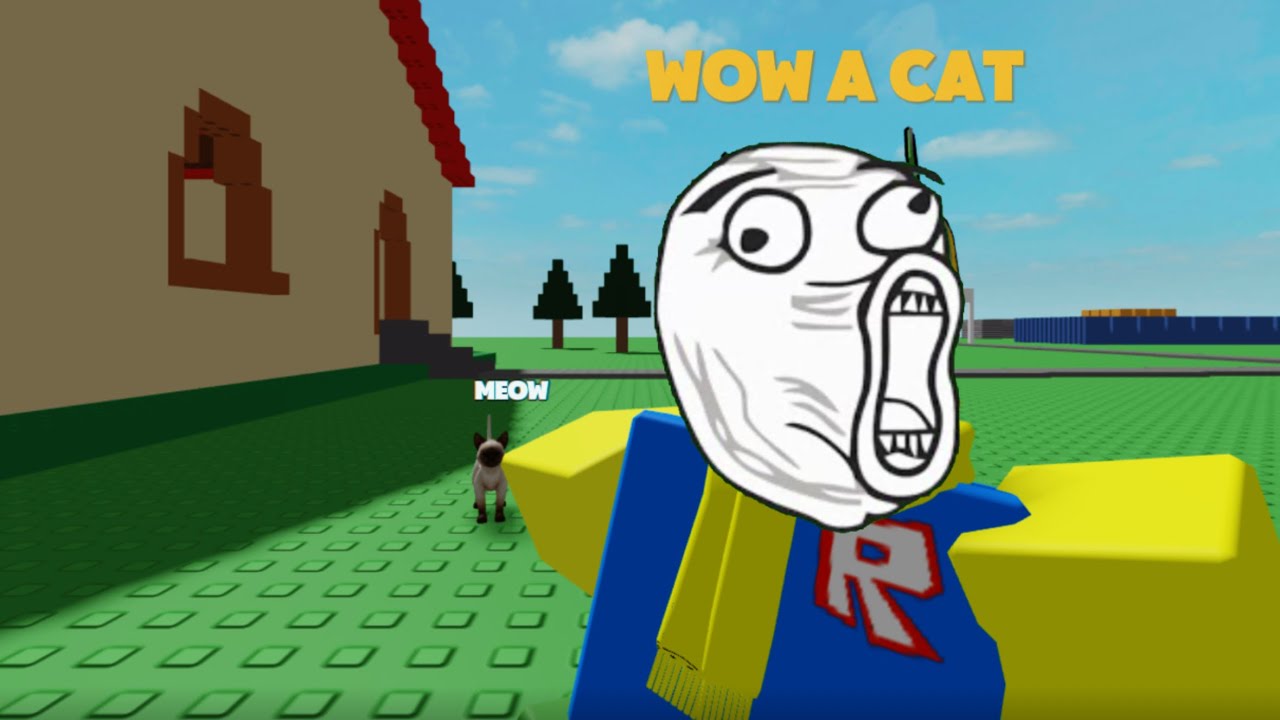 How One Cat Meme Changed The Entire Internet Forever - YouTube