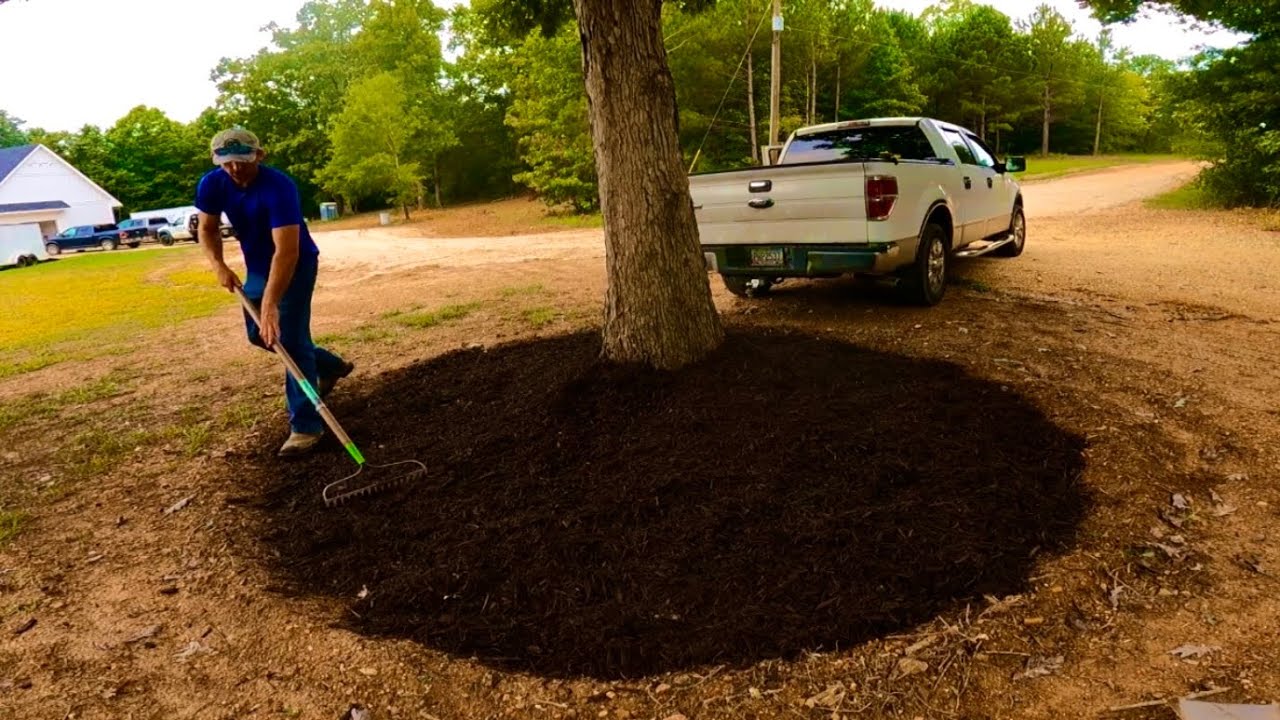 Quest for the Perfect Golf Yard: Building Mulch Beds - YouTube