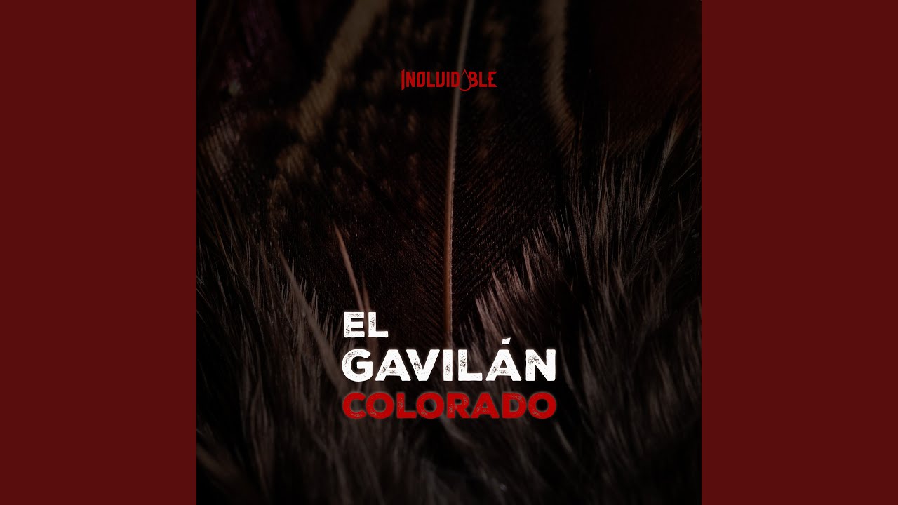 El Gavilán Colorado - YouTube