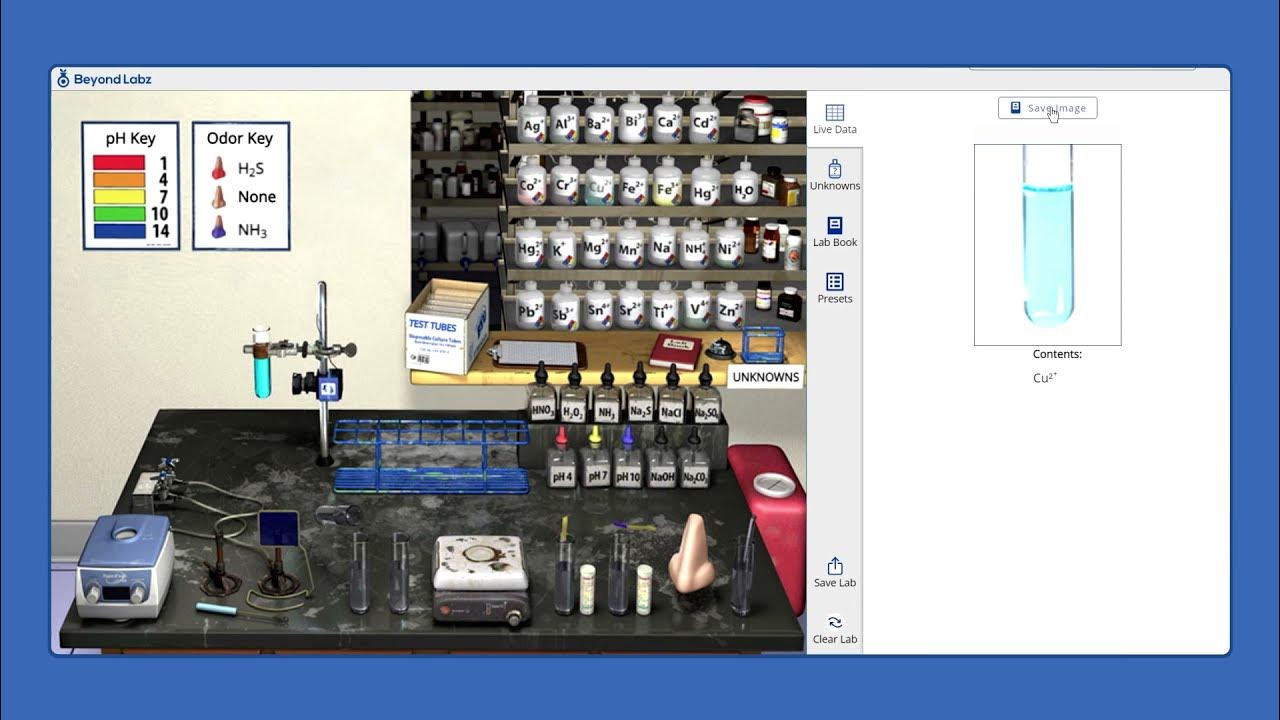 Welcome to Beyond Labz - YouTube