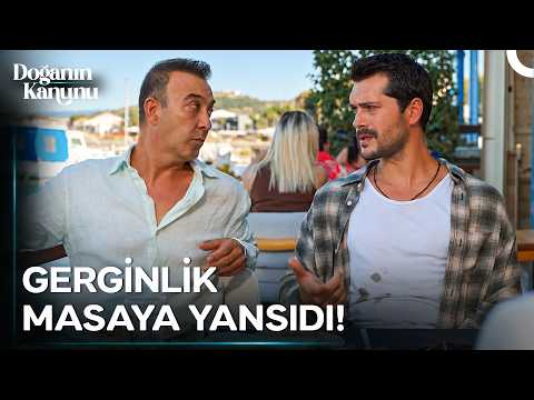Yaman Gerginlik Yaratıyor - Doğanın Kanunu