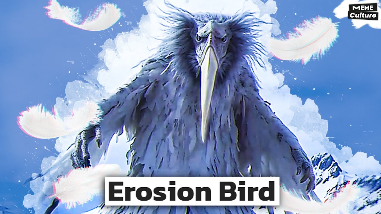 Erosion Birds. Real or Fake - YouTube