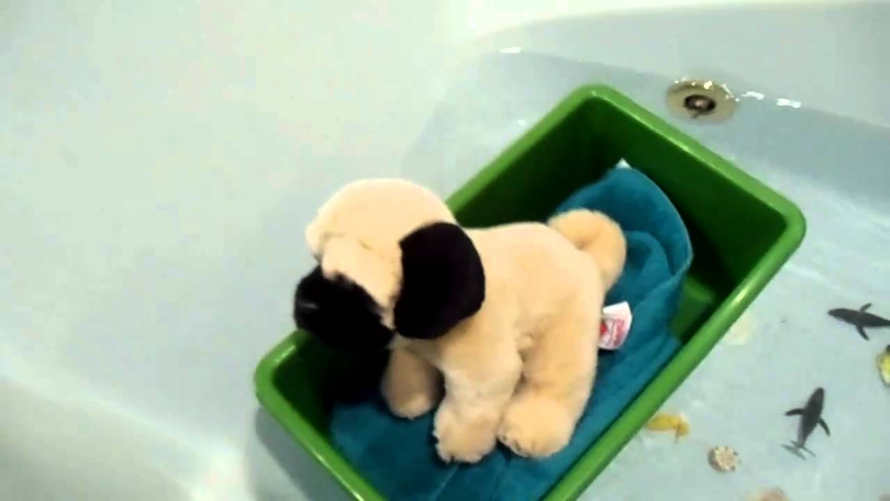 webkinz pool party paradise - YouTube