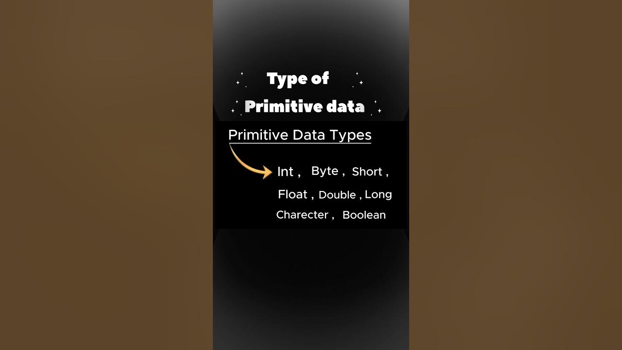 Primitive Data Types In Java Explained Datatype Trending Youtube