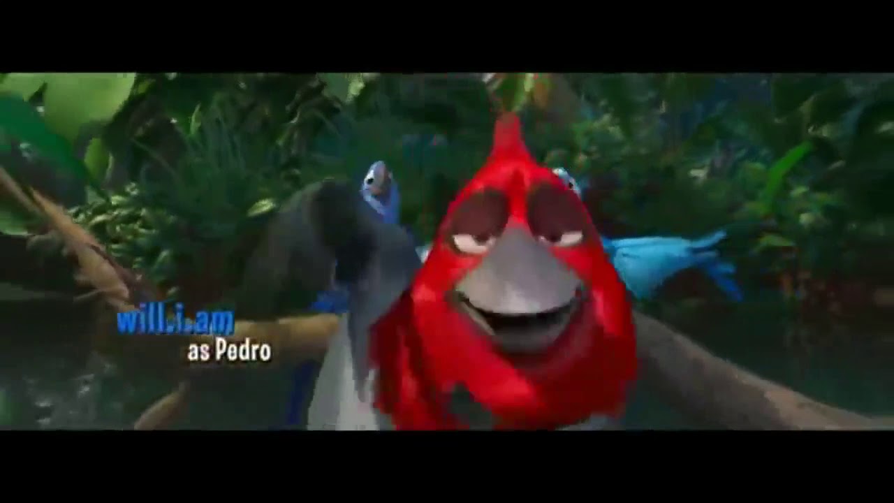Rio Bird Dance Video in Oriya so - YouTube