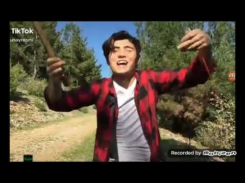 tolunay demirel'in tiktok'larına baktık