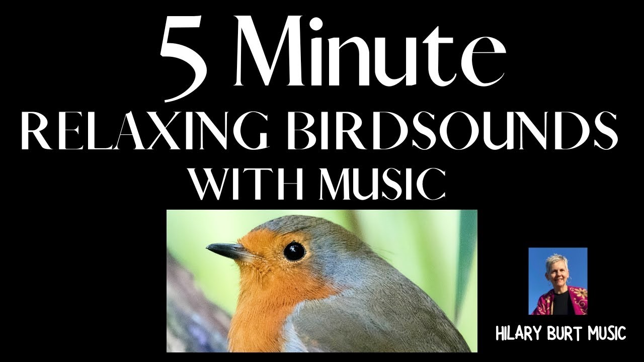 5 minute relaxing bird sounds with music - female vocals & humming ...