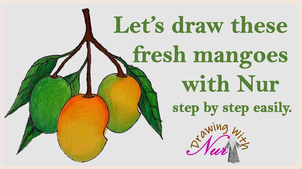 Mango Drawing ।। How to draw a mango step by step easily । । New ...