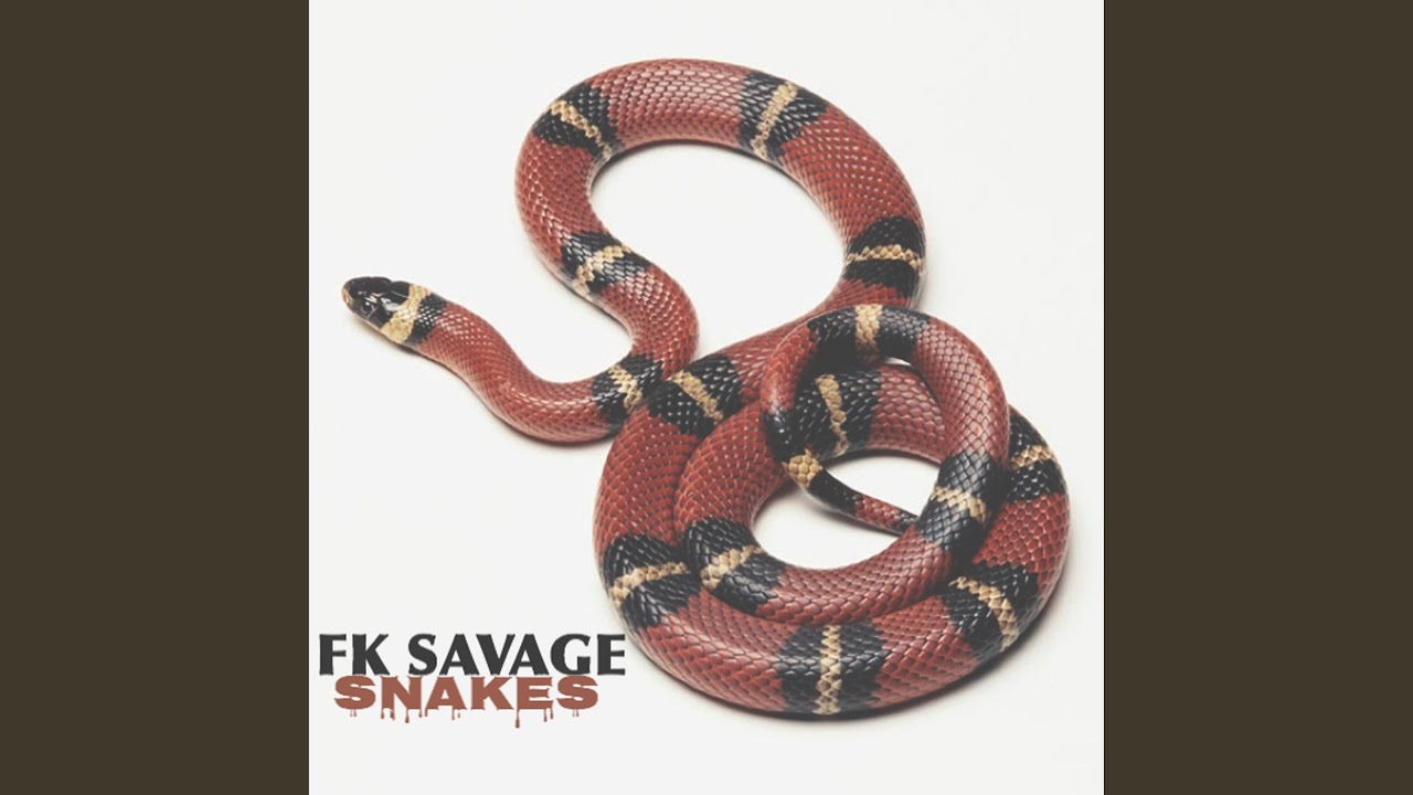 Snakes - YouTube