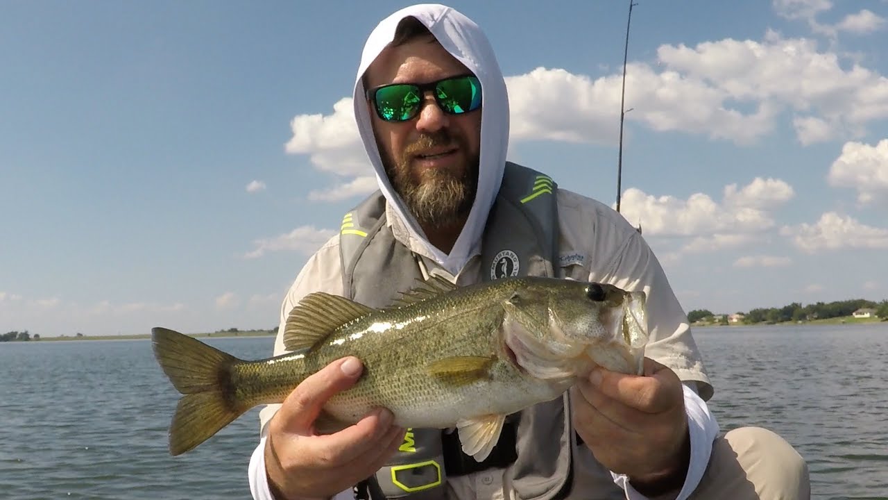 100th Upload (TURTLE & BASS) on Crankbaits!! - YouTube