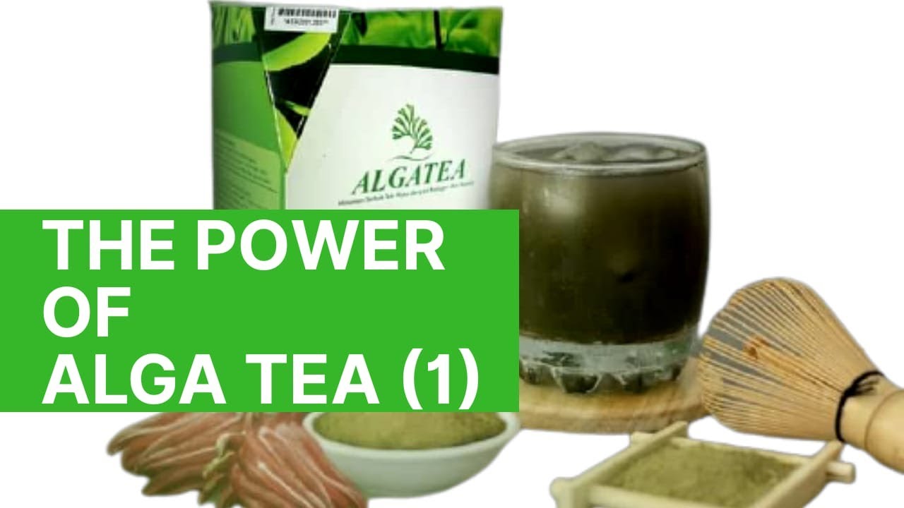 THE POWER OF ALGA TEA (1) Lebih Dari Sekedar Antioksidan - YouTube