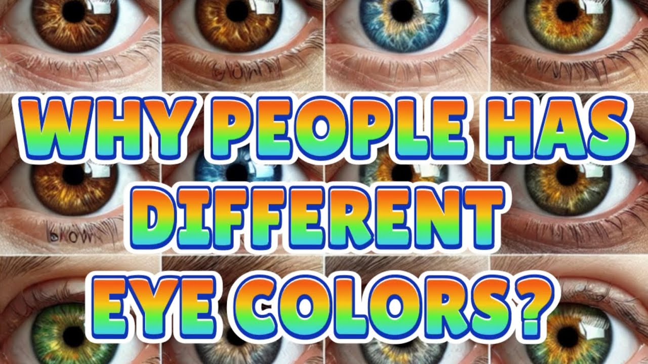 WHY DO PEOPLE HAVE DIFFERENT EYE COLORS? - YouTube